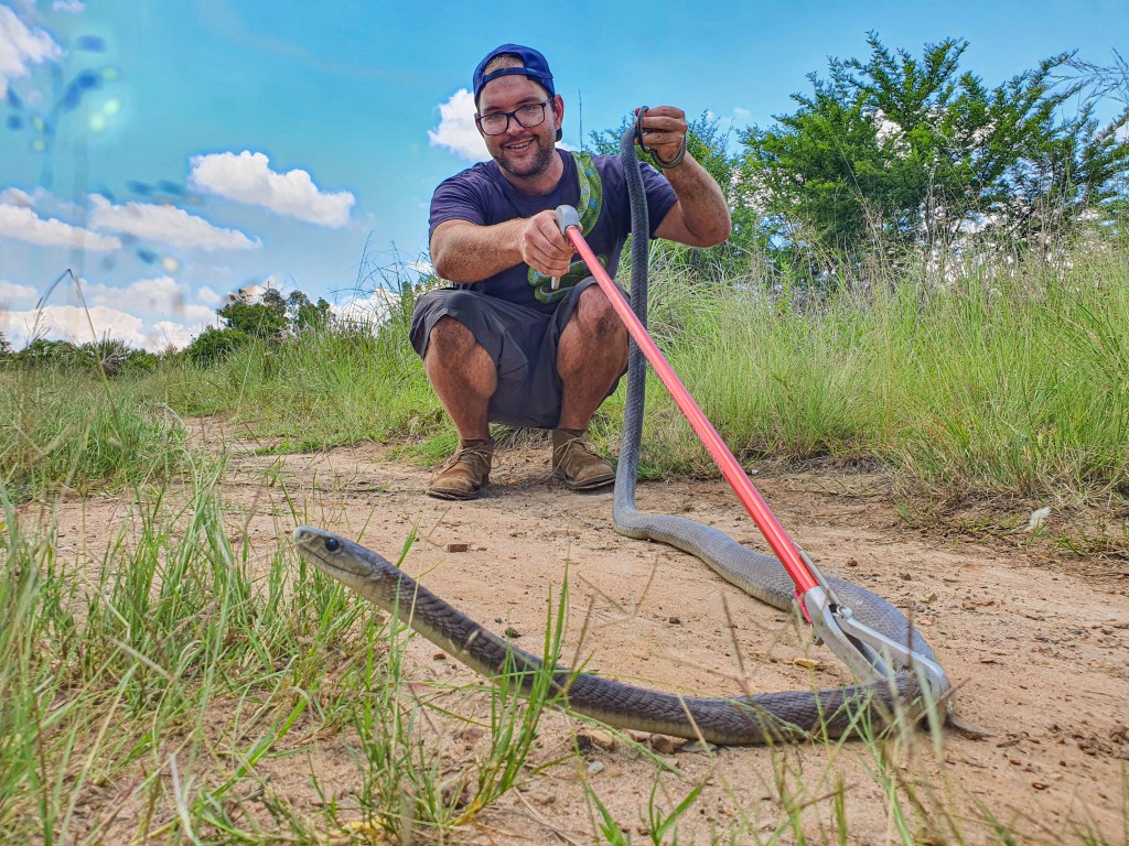 The Most Dangerous Snakes in South Africa | Chad Keates